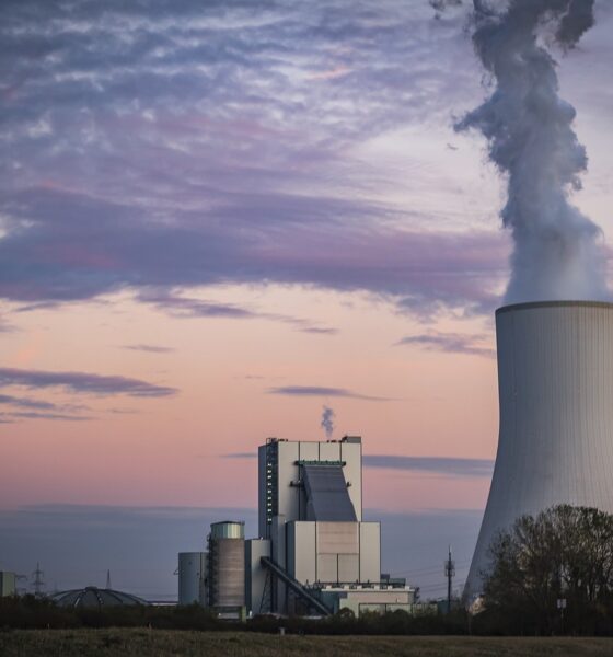 Banning greenwashing and better product labelling in Europe ...